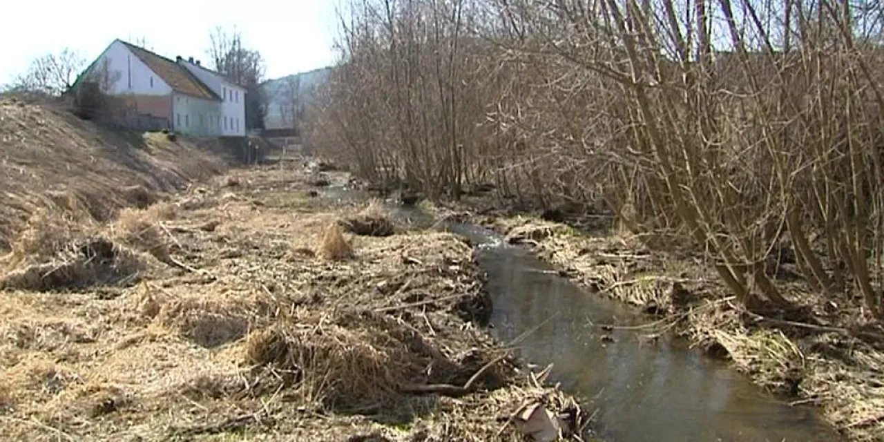 Vlčí potok v Jíně je konečně vyčištěn — ČT24 — Česká televize