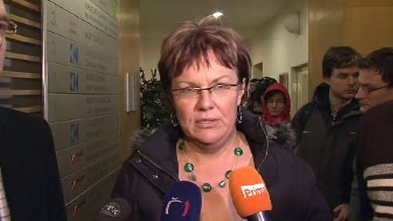 Frakce zelených chce zapojit laiky do stranické politiky — ČT24 — Česká televize