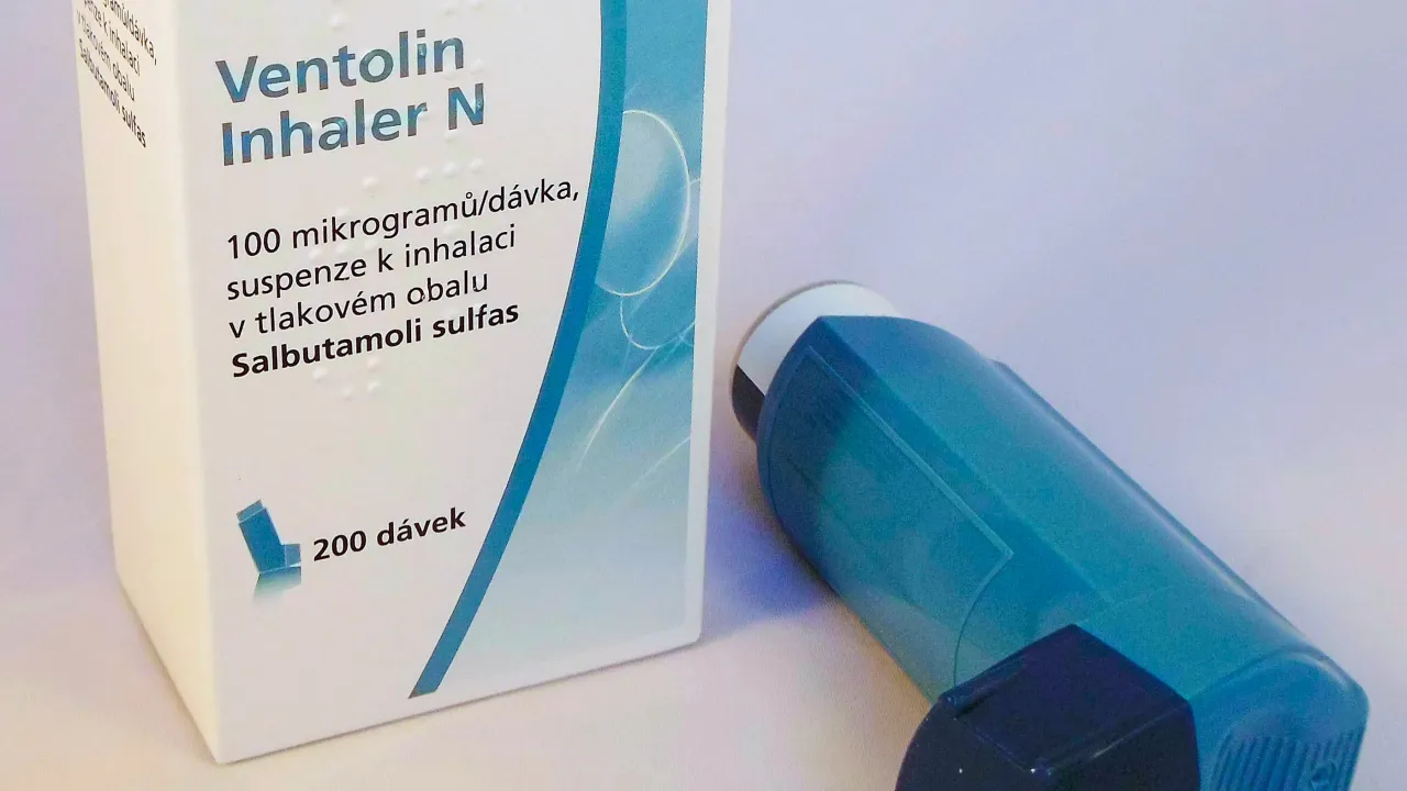 Stále chybí lék na astma i jeho alternativa. Podle ministerstva se ...