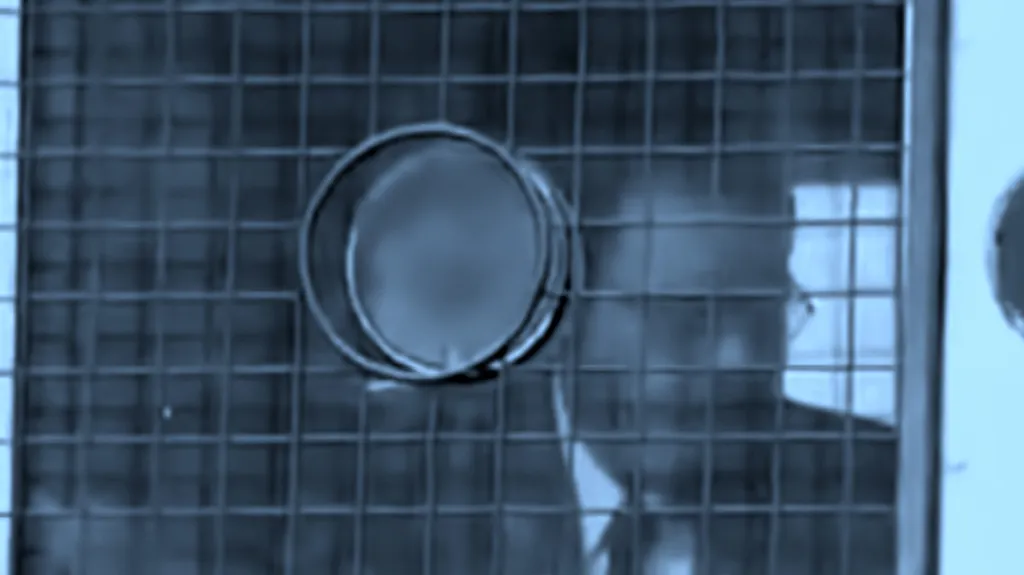 Du Toit je vinen z přípravy atentátu na Mandelu a spiknutí — ČT24 ...