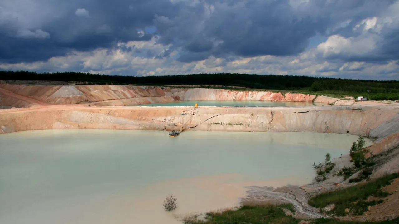 Ve zničené krajině roste nová divočina — ČT24 — Česká televize