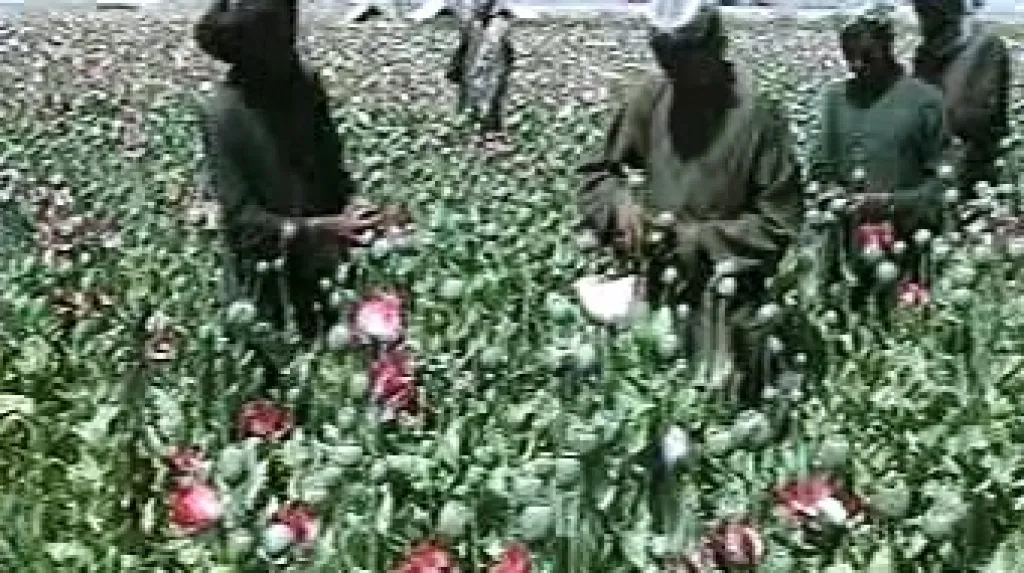 Výroba drog v Afghánistánu hlavním tématem jednání G8 — ČT24 — Česká ...