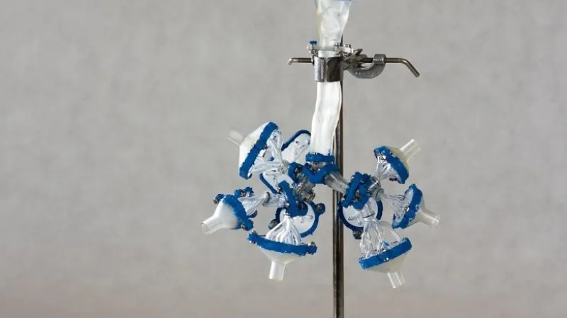 Vědci v Brně vytvořili realistický model plic, poslouží při testování ...